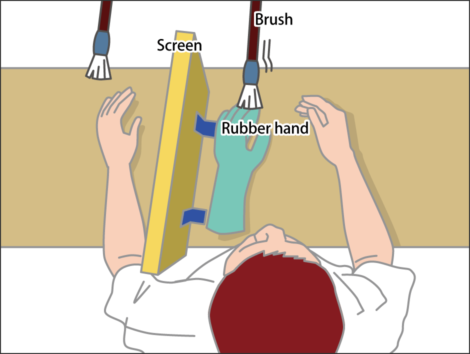 Special Feature 1 - The World of Touch | Touch stimulates emotions ...