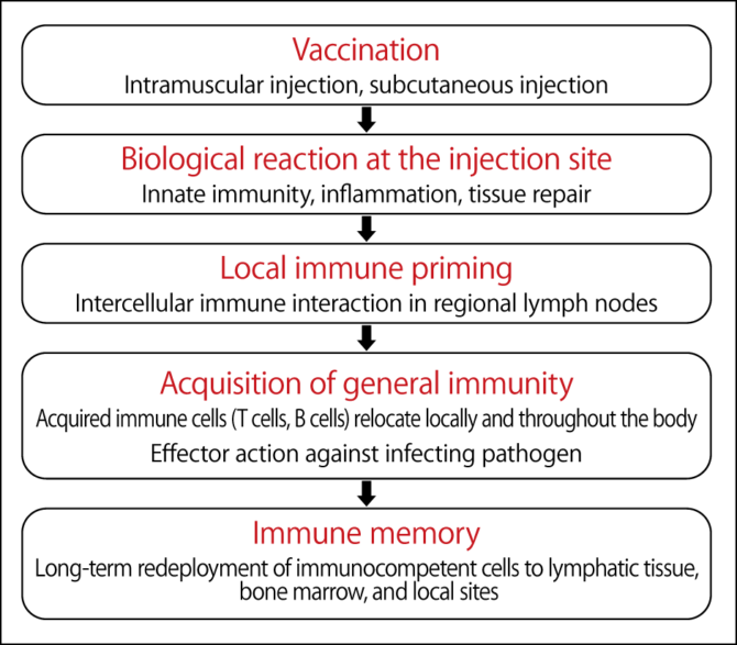 Pursuing faster, better vaccination: The near future in the ever ...