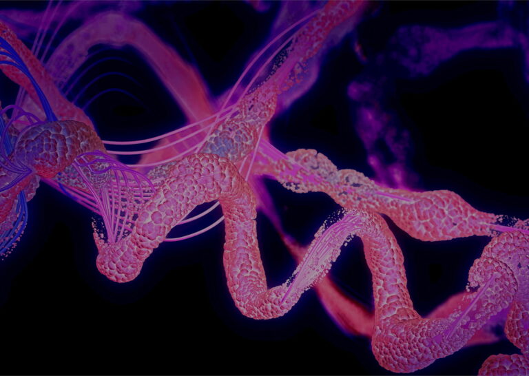 Ghost vessel formation in capillaries is closely associated with ...