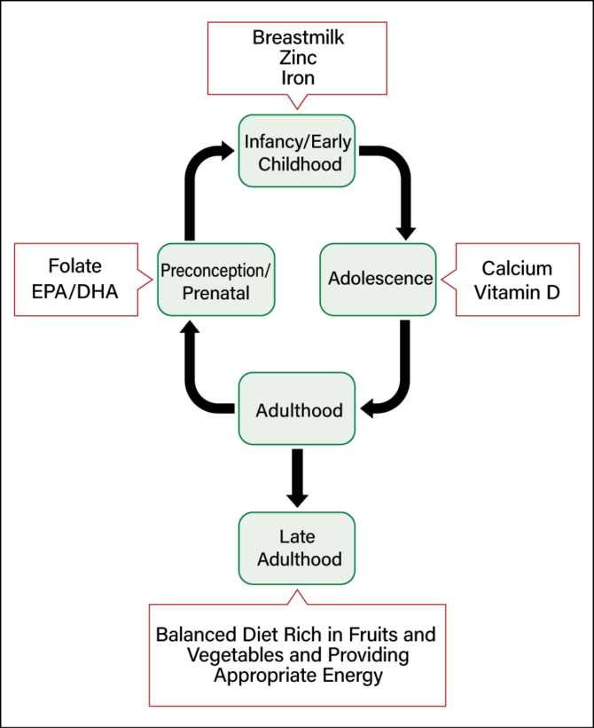 Nutrition in childhood has a lifelong impact