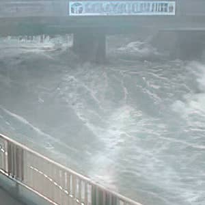 Special Feature 1 – Recommendations for Scientific Disaster Risk ...