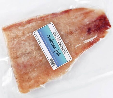 Cellular aquaculture: High hopes for the seafood equivalent of cultured ...