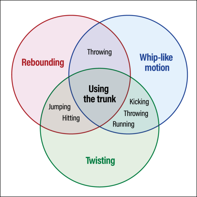 You can conquer a poor sense of coordination if training is fun!
