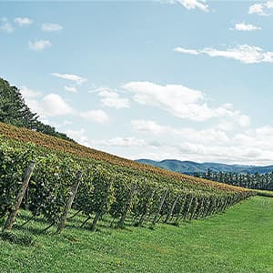 Our empirical rules no longer suffice! The urgent need for society to ...