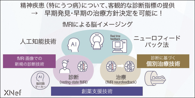 最新fMRIが可能にした脳の動きの「見える化」